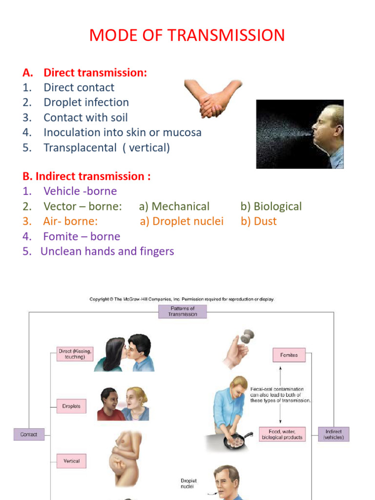 Modes of Disease Transmission Explained | PDF | Infection | Public Health
