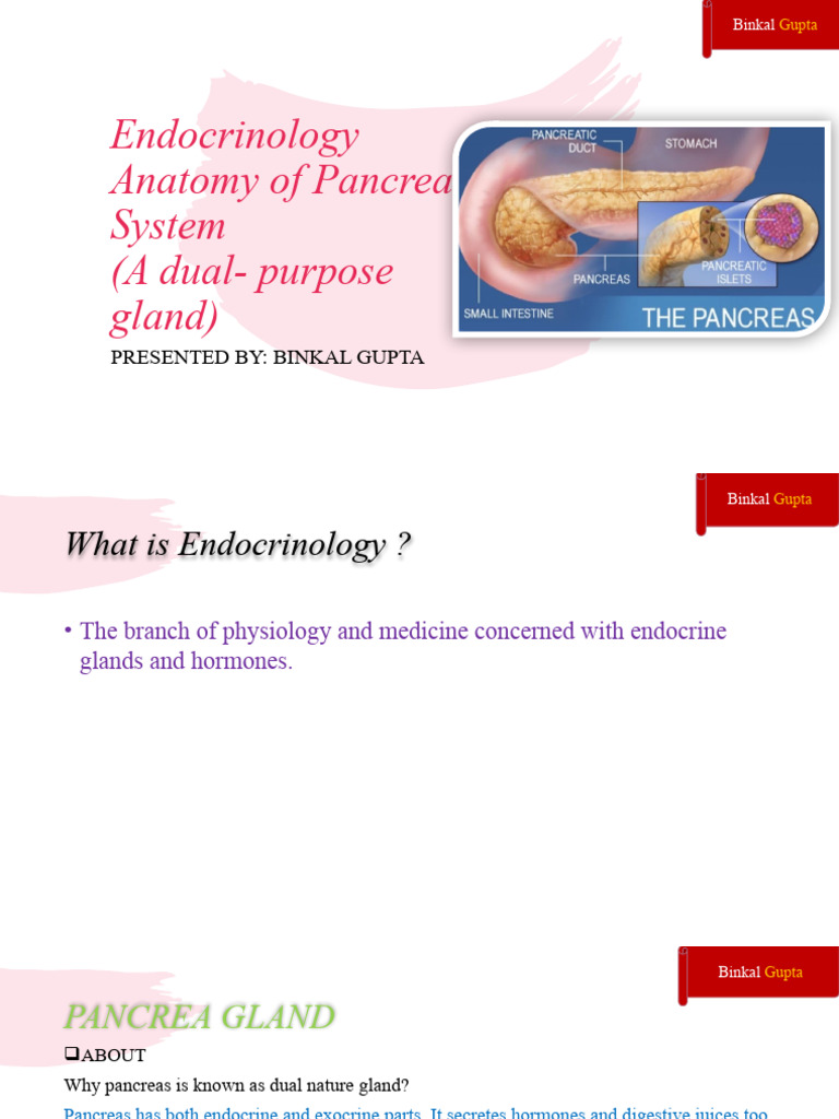 Pancreas: Dual-Function Gland Anatomy | PDF | Pancreas | Endocrine System