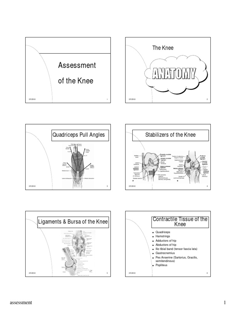 Assessment of The Knee 05. Student PDF | PDF | Knee | Joints