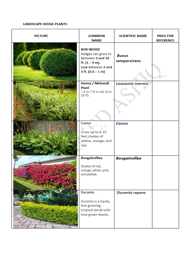 Hedge Plants | PDF | Hedge | Garden Plants