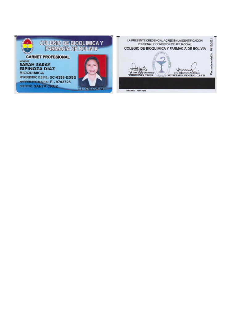Carnet | PDF