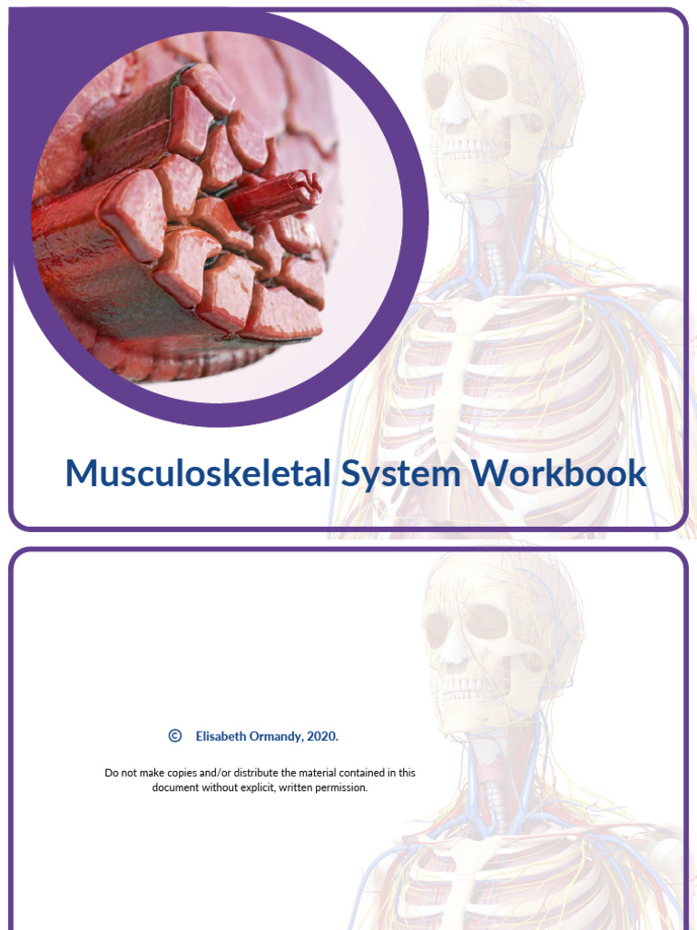 Musculoskeletal | PDF | Muscle | Human Musculoskeletal System