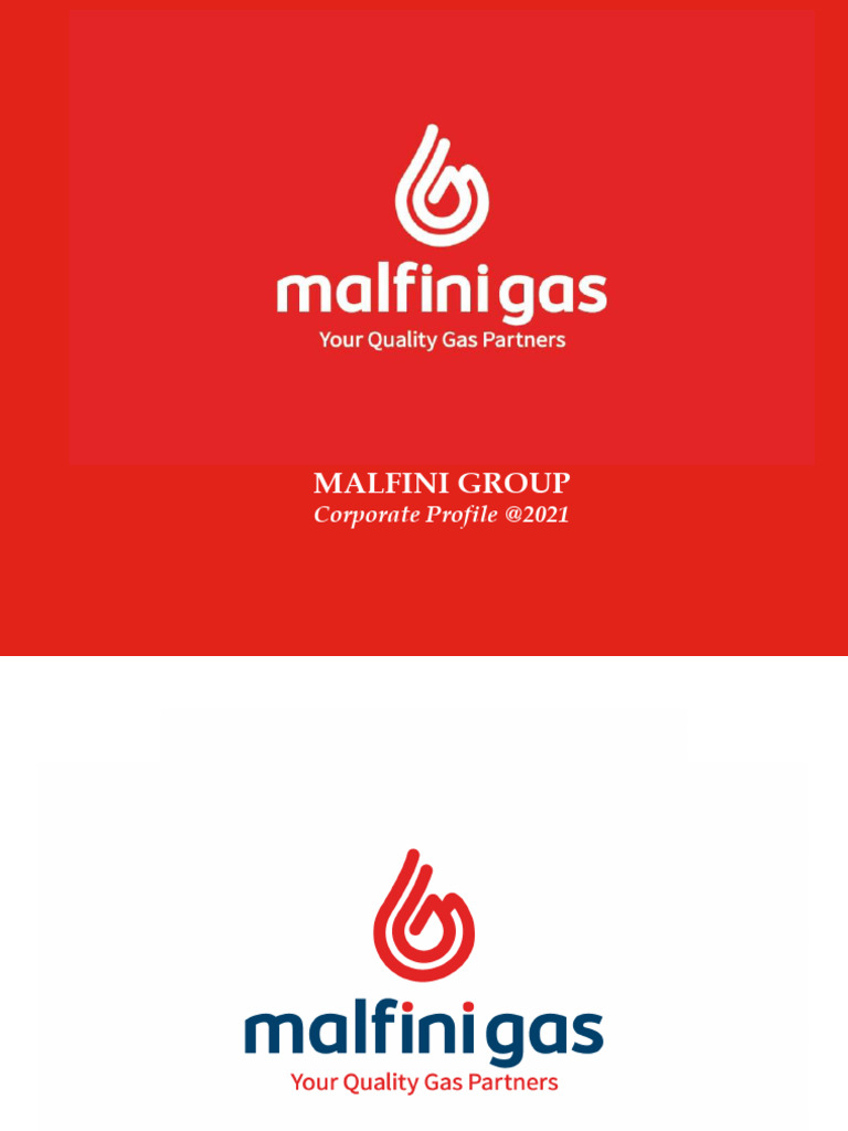 MG Malfini Group - Corporate Profile @2022 | PDF | Natural Gas | Petroleum