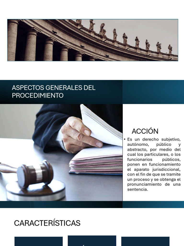 Aspectos Generales Del Procedimiento | PDF | Sentencia (ley) | Ley procesal