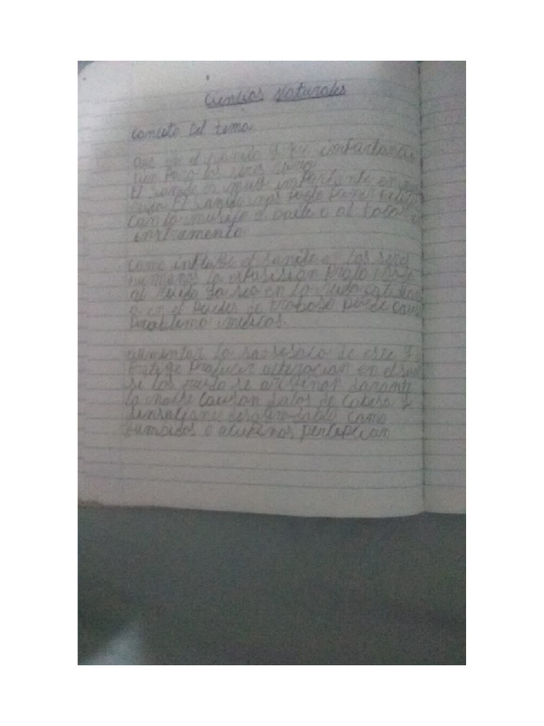 El Sonido Yail | PDF