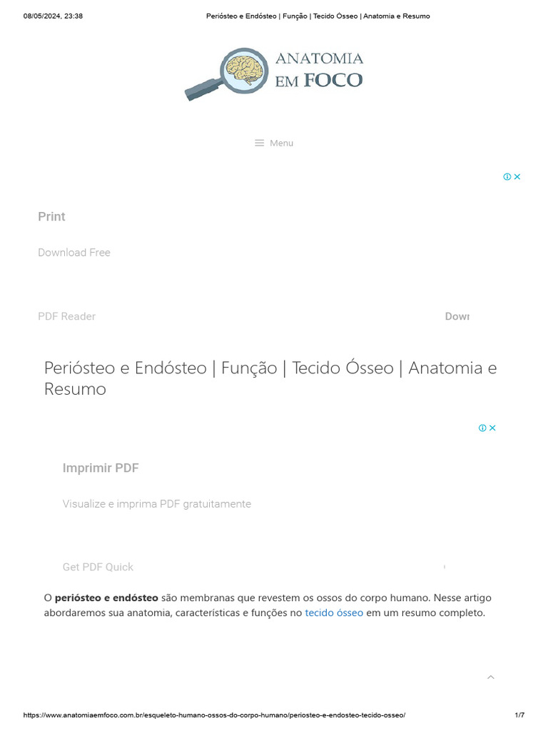 Periósteo e Endósteo - Função - Tecido Ósseo - Anatomia e Resumo | PDF ...