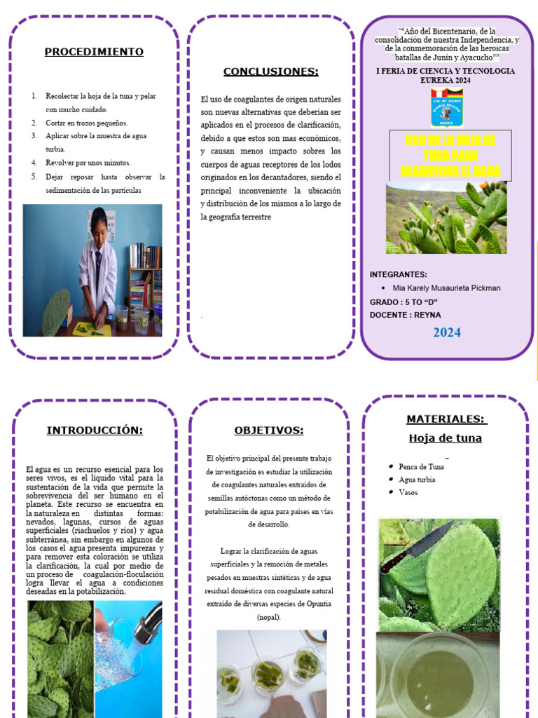 Triptico | PDF | Agua | Naturaleza