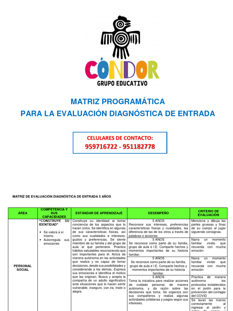 Matriz Programatica Evaluacion de Entrada 5 | PDF | Evaluación | Las emociones