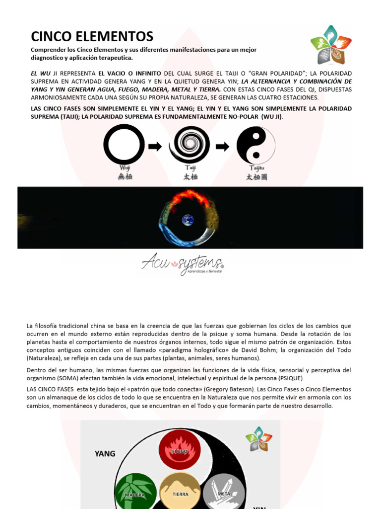 Guia MTC para La Vida Clase 7 Cinco Elementos | PDF | Vida | Yin y yang