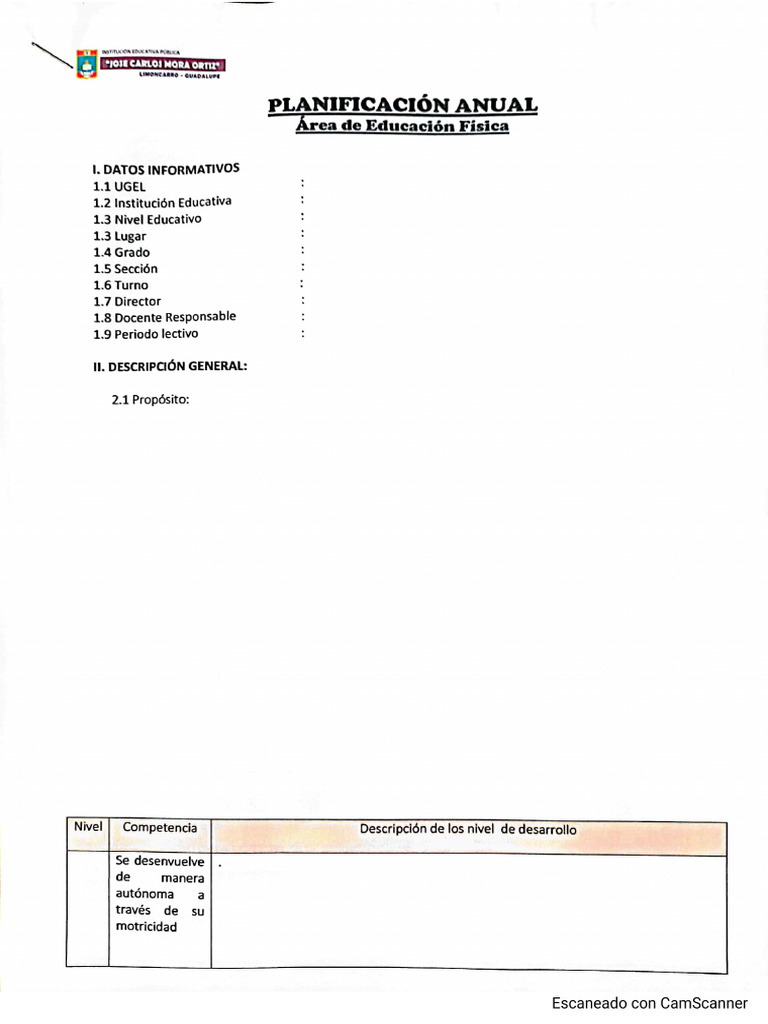 Modelo de Programacion Anual Vacia | PDF