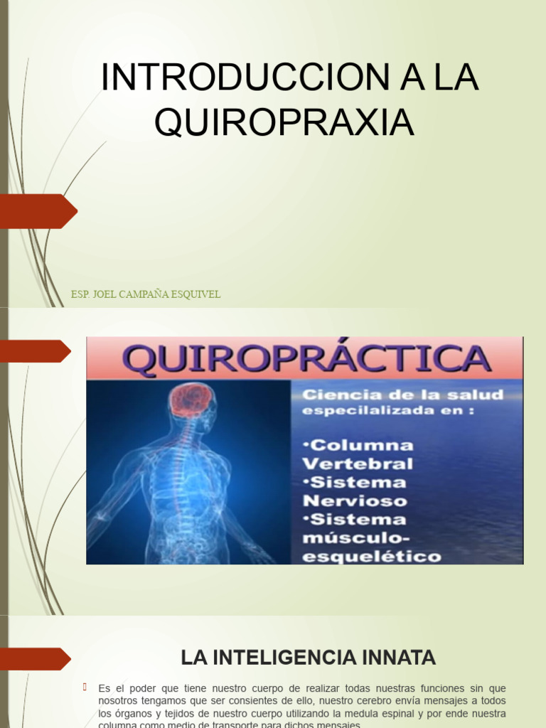 001 INTRODUCCION A LA QUIROPRAXIA | Descargar gratis PDF | Nervio | Estrés (biología)