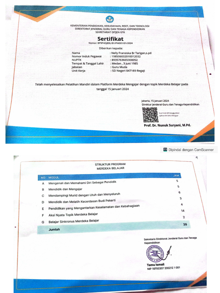 PMM Merdeka Belajar | PDF