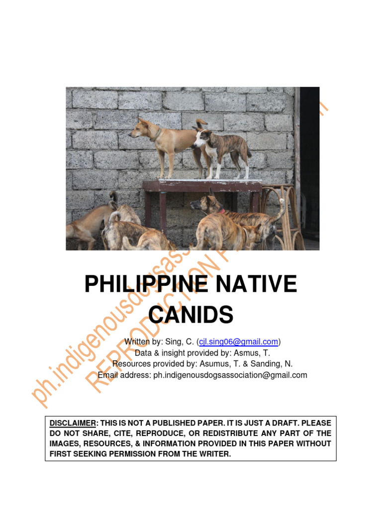 (For Group Page Sharing) Philippine Native Aso NG Gubat Profile Edition ...