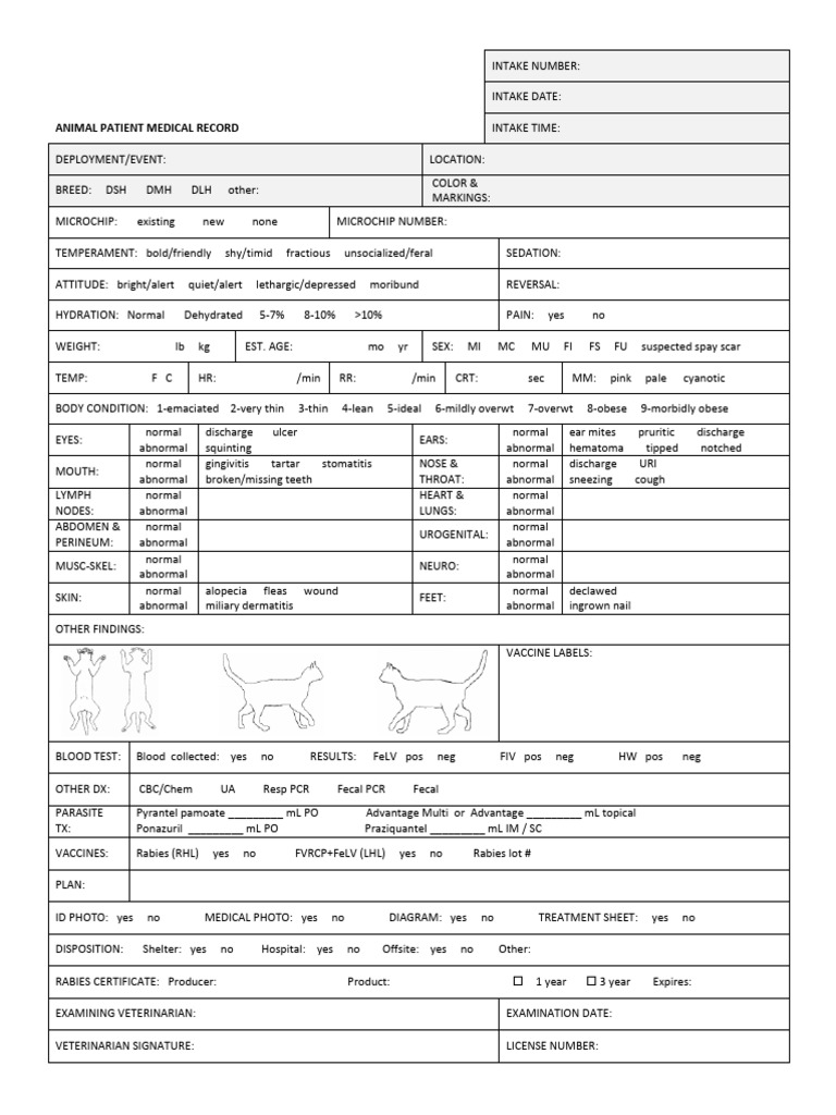 Cat Intake and Examination Form | PDF | Medical Specialties | Diseases ...