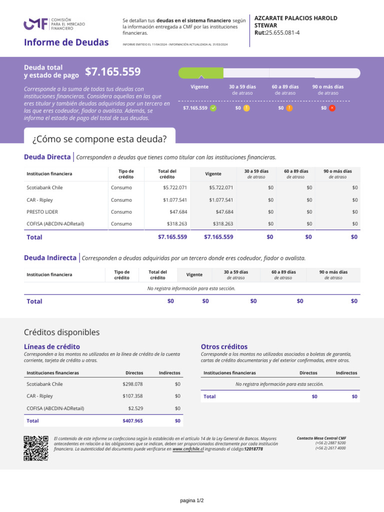 Informe Deudas 25655081-4 | Descargar gratis PDF | Crédito | Finanzas y administración del dinero