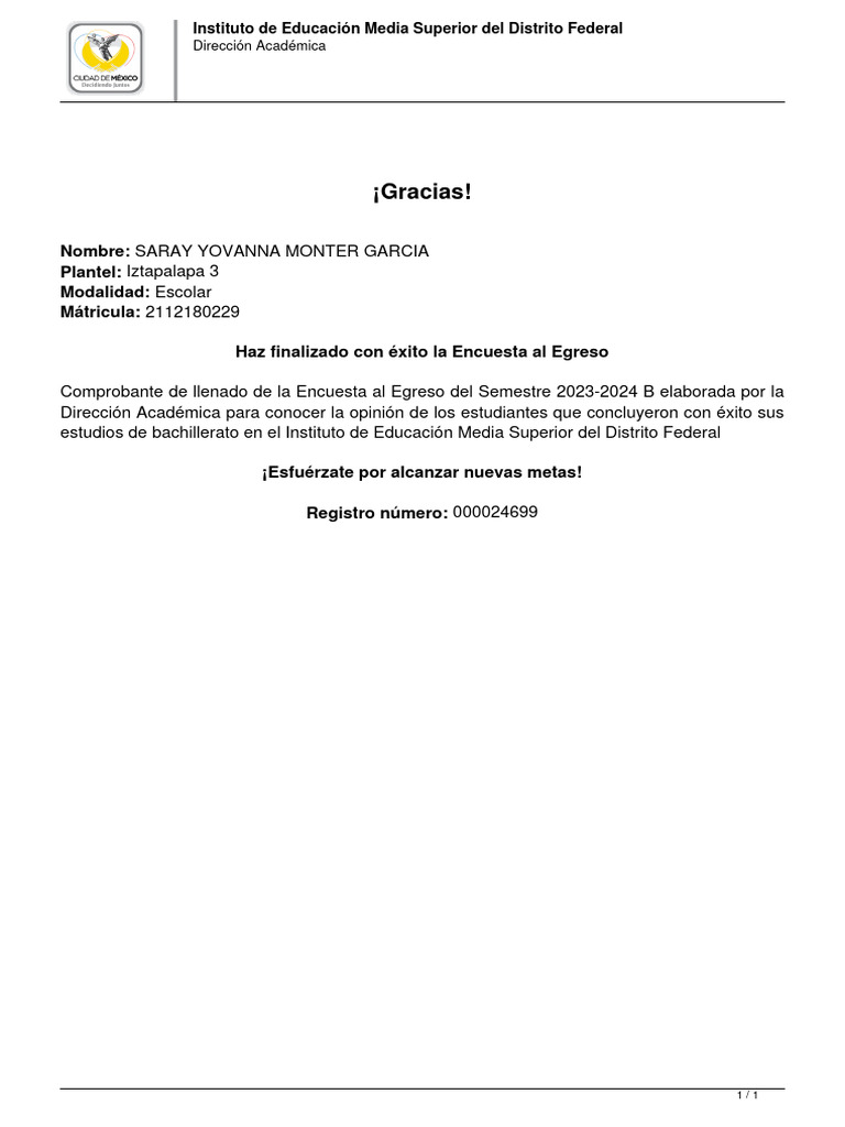 example_001 (1) | PDF