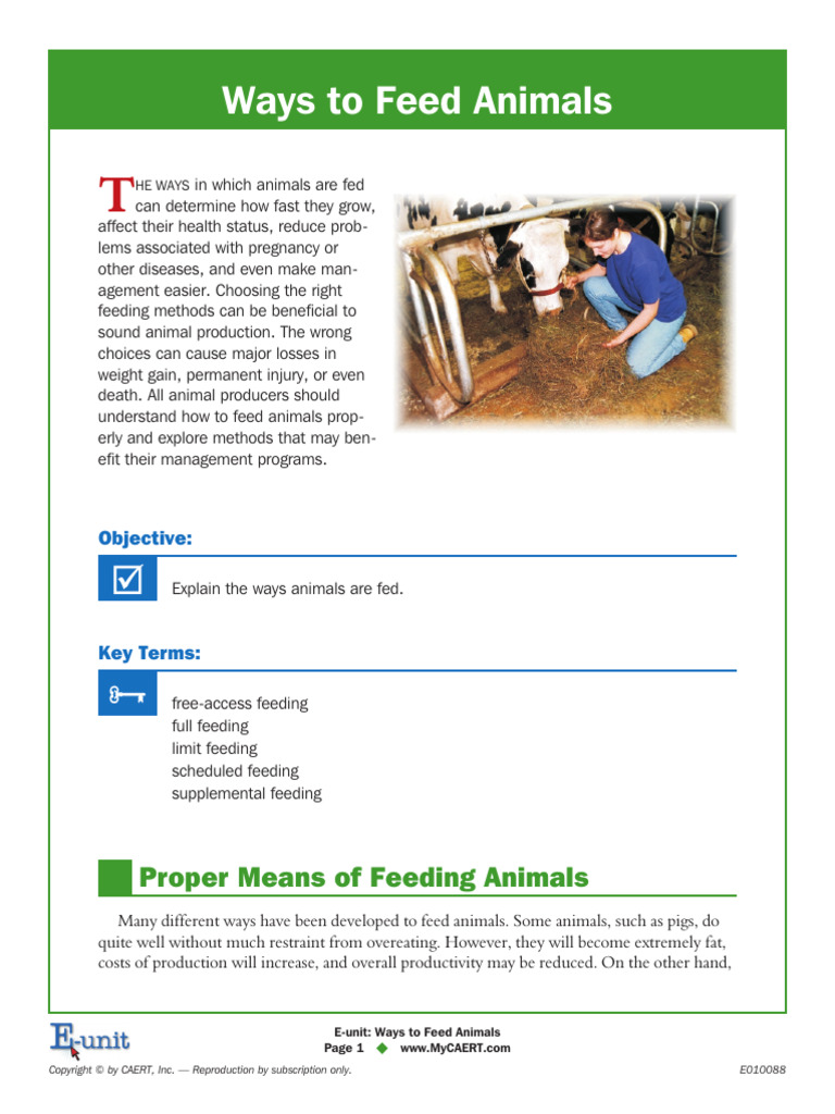 Ways To Feed Animals | PDF | Cattle | Pet