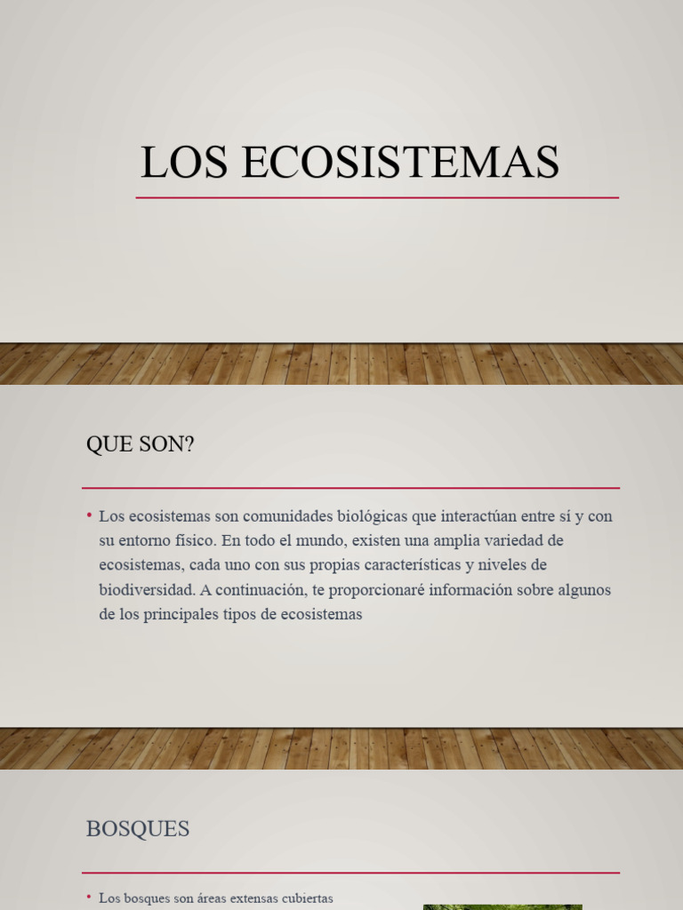 Los Ecosistemas | PDF | Ecosistema | Biodiversidad
