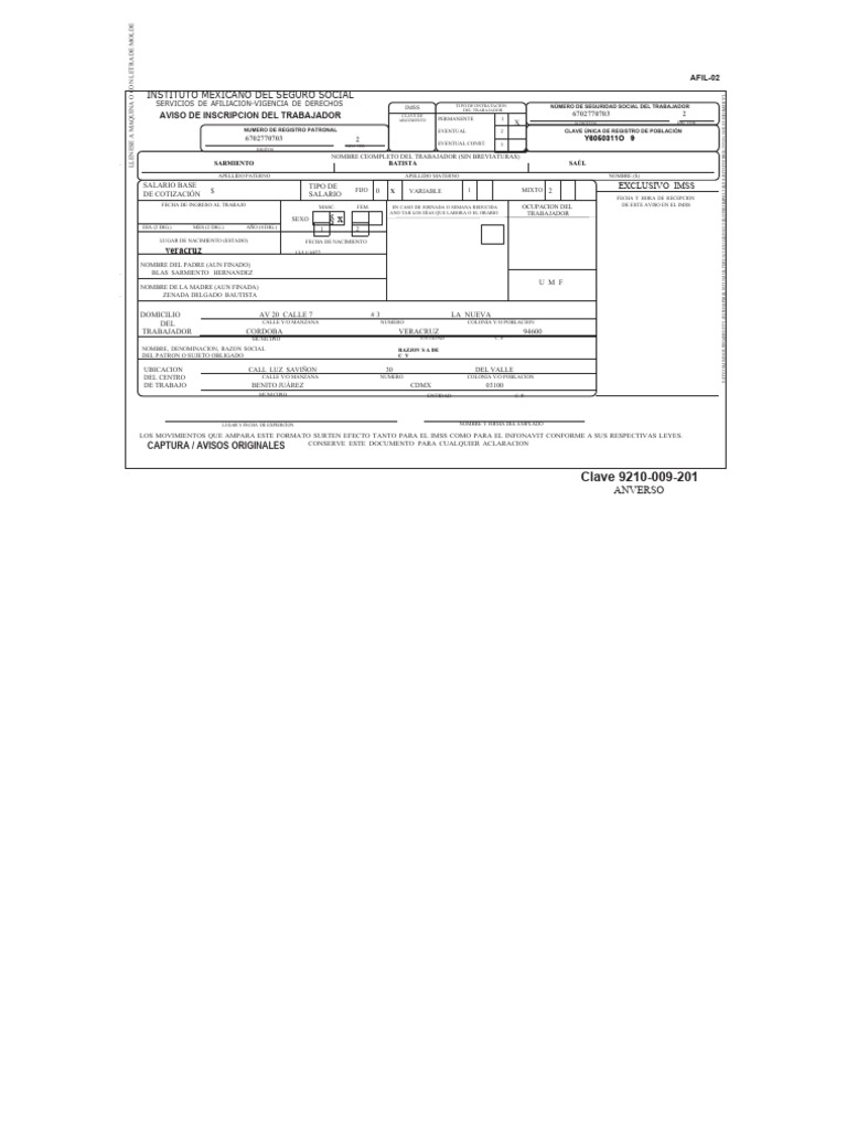 Formato Afil 02 | PDF | Gobierno