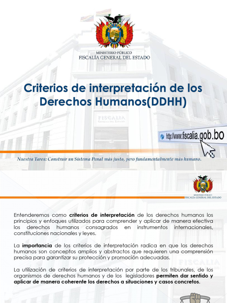 4. Criterios de Interpretacion de Los DDHH 3.0 | Descargar gratis PDF | Derechos humanos | Humano
