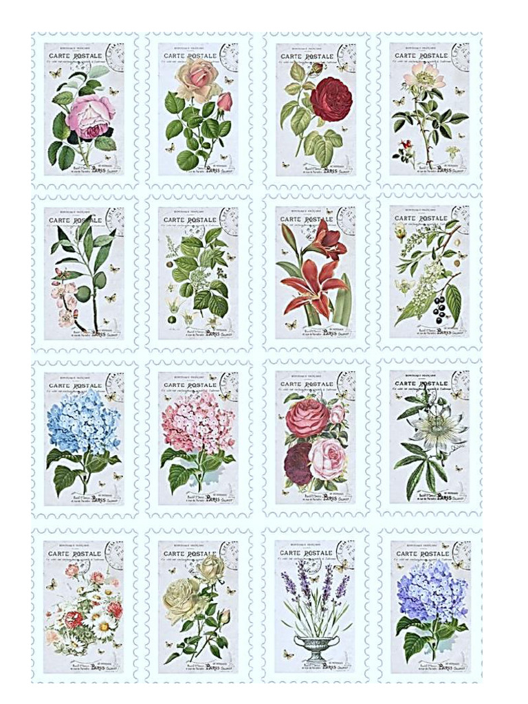 Anatomia de la rosa | PDF