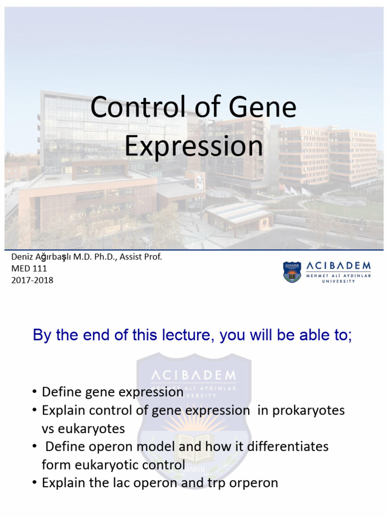 Control of Gene Expression | PDF | Operon | Gene Expression