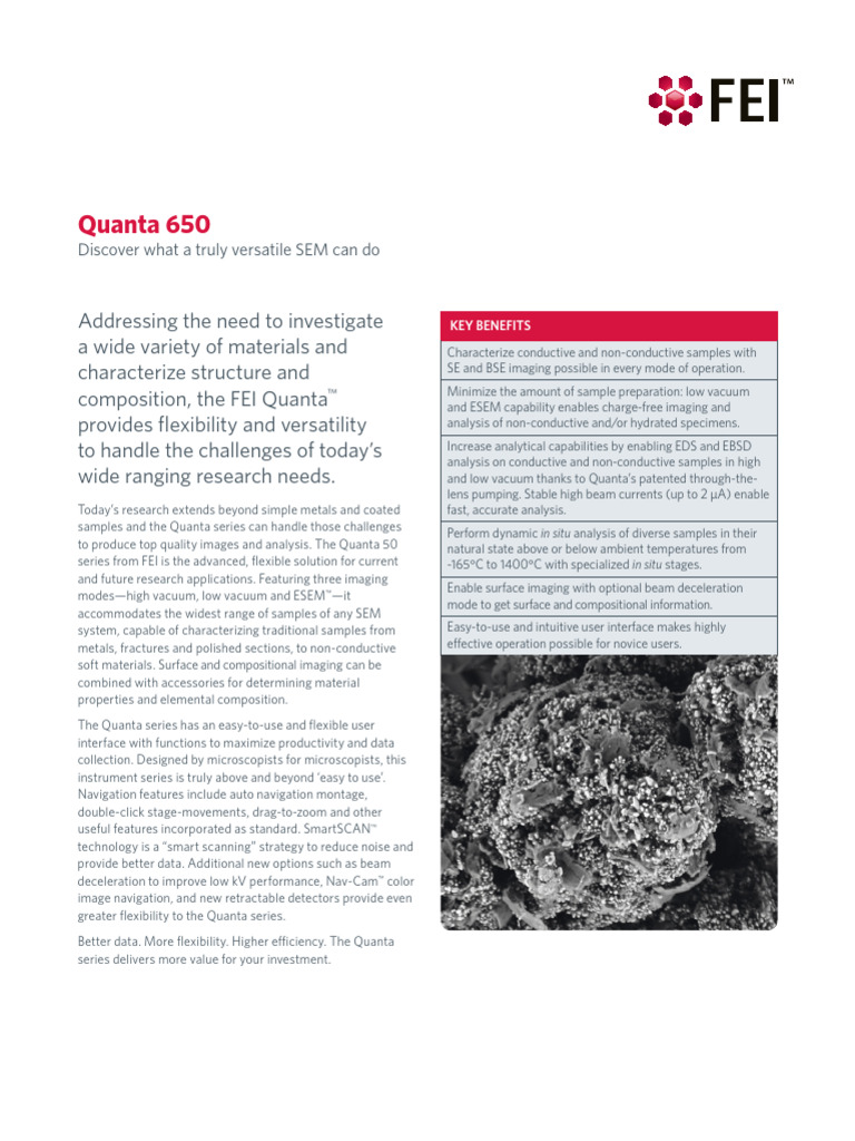 Quanta 650 en | PDF | Scanning Electron Microscope | Materials