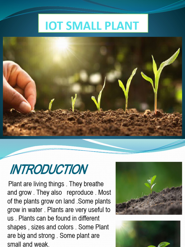 Iot Samll Plant | PDF