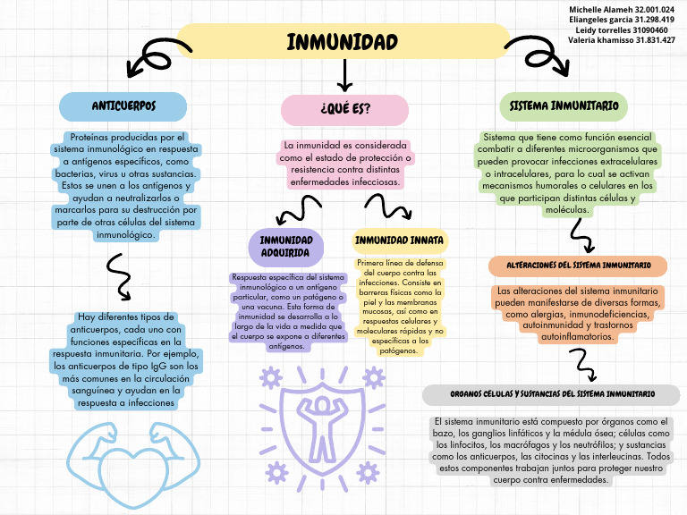 Gráfica Mapa Conceptual Simple Colorido | PDF | Sistema inmune | Infección