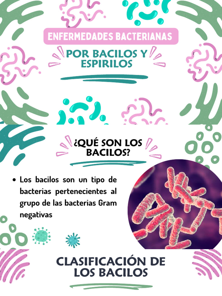 Bacilos y Espirilos: Enfermedades Bacterianas | PDF | Las bacterias ...