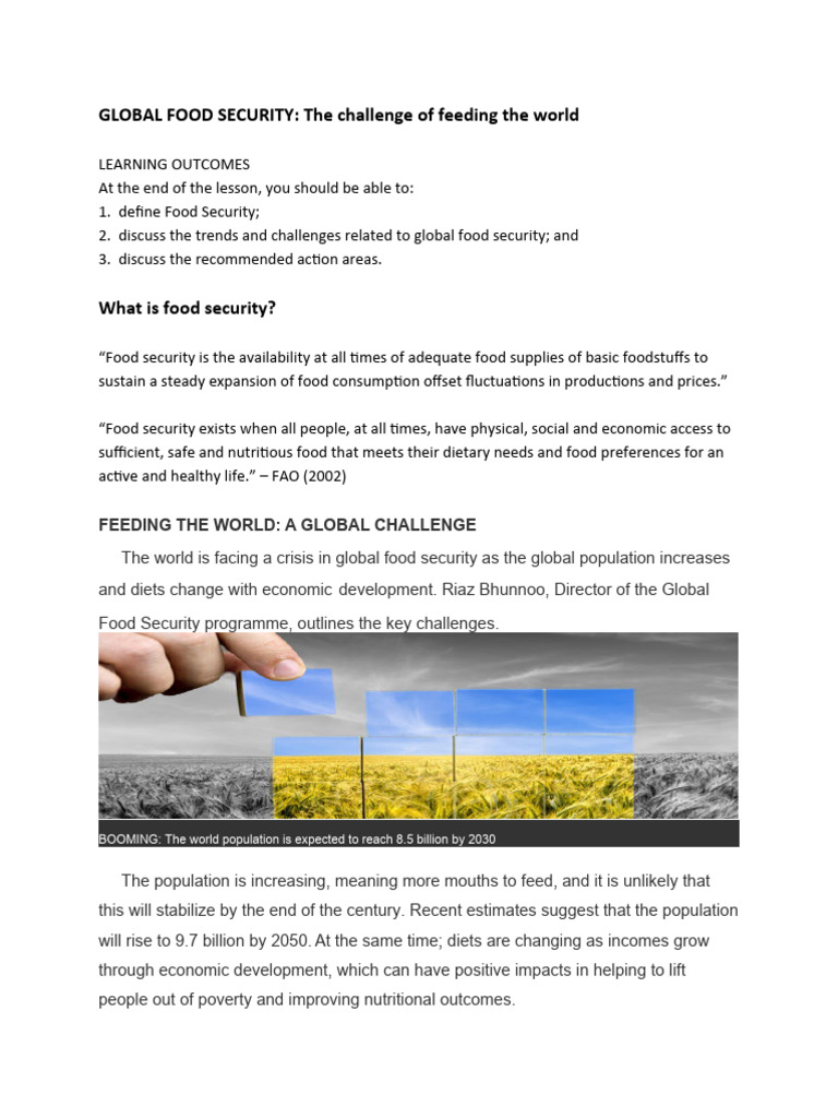 Week 16, Global Food Security | PDF | Food Security | Agriculture