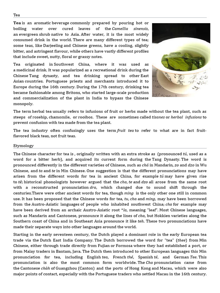 Tea project | PDF | Tea | Hot Drinks