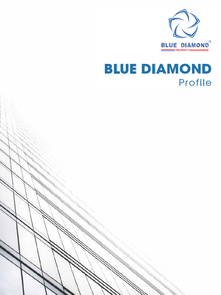 HSNL Blue Diamond 2024.1 | PDF