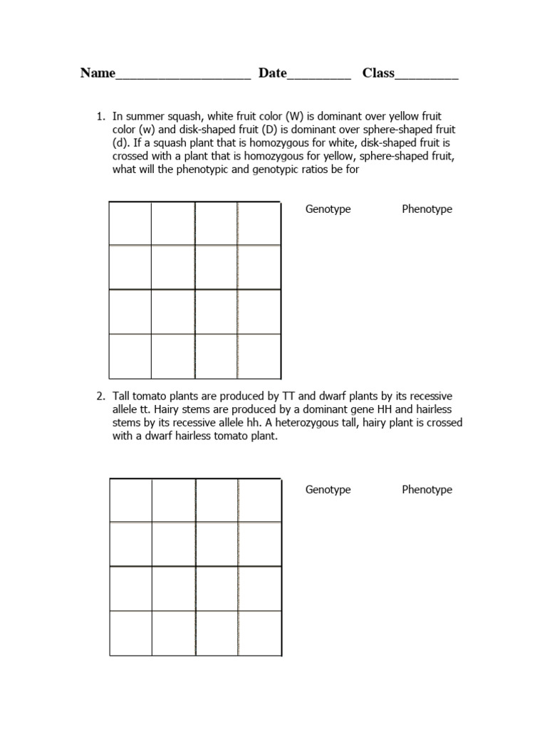 Dihybrid Cross Worksheet | PDF | Dominance (Genetics) | Genotype