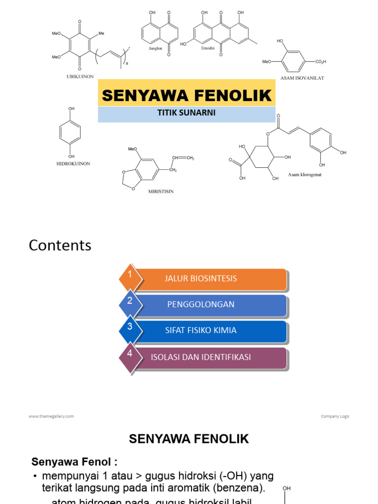 Biosintesis dan Klasifikasi Senyawa Fenolik | PDF