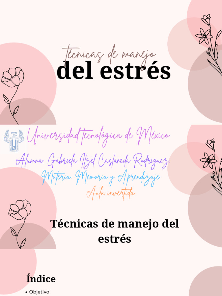 Aula Invertida | PDF | Estrés (biología) | Ansiedad