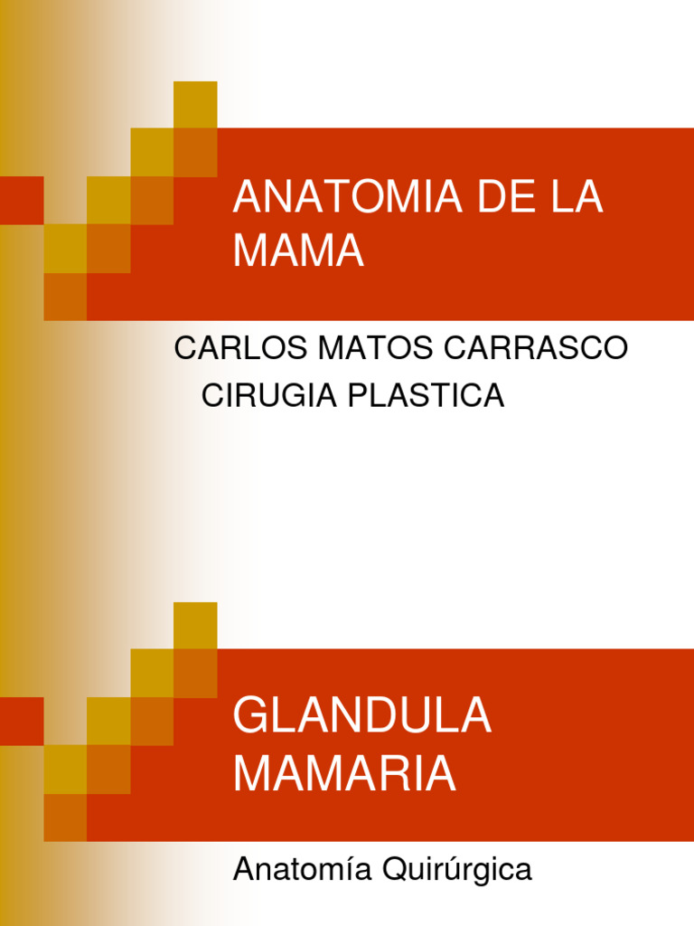 Mama Anatomia | PDF | Pecho | Tórax