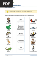 Primary 2 Science - Learner Book PDF | PDF