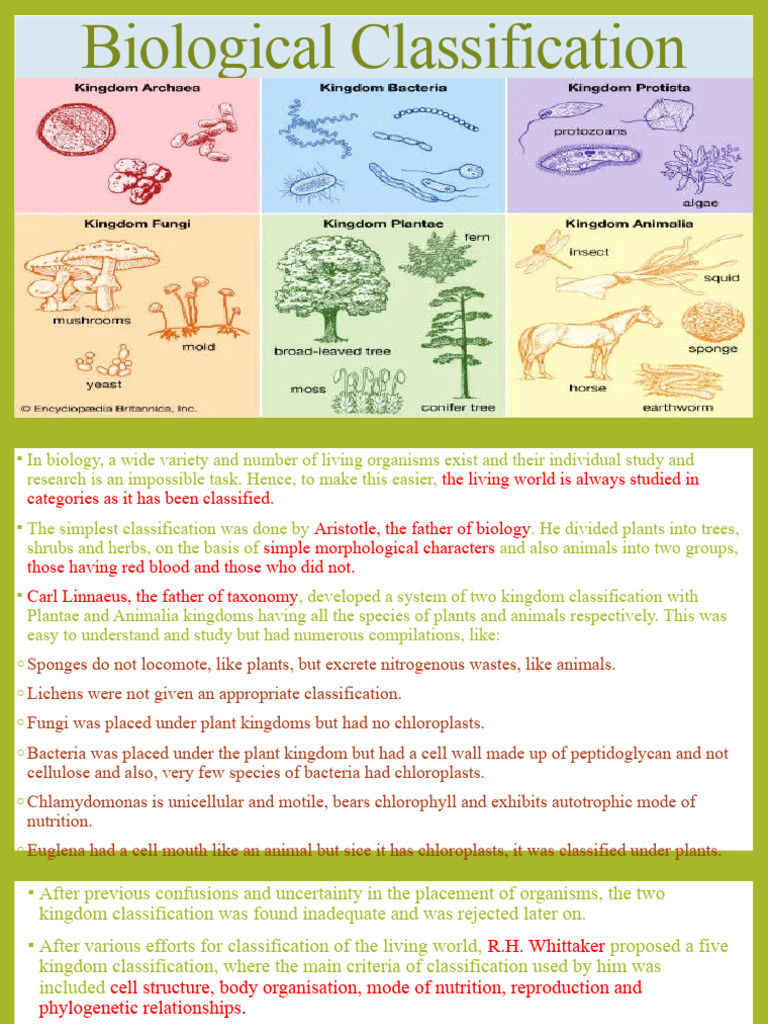 Biological Classification | PDF | Fungus | Virus