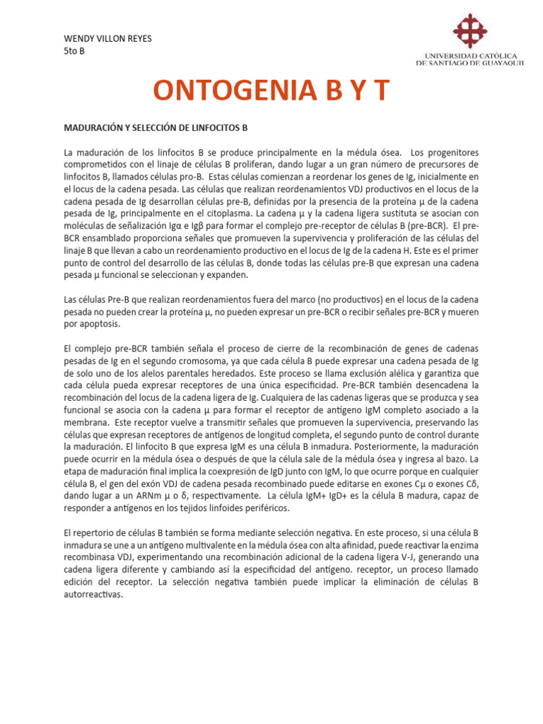 Ontogenia B y T | PDF | Célula T | Célula B