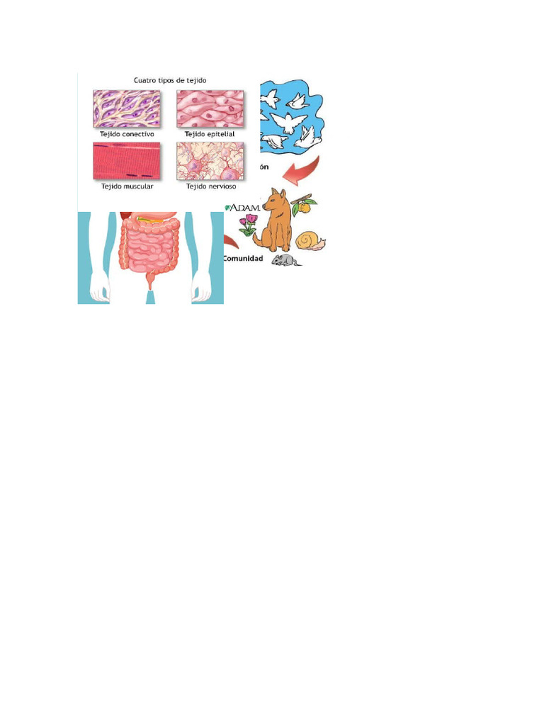 Jklo | PDF