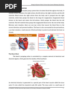 4.block Diagram of Internal Pacemaker | PDF | Science & Mathematics