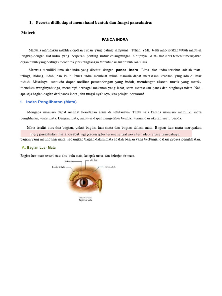 Bentuk dan Fungsi Panca Indra | PDF