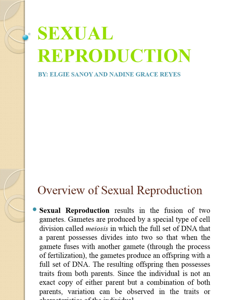 Sexual Reproduction: By: Elgie Sanoy and Nadine Grace Reyes | PDF | Sexual Reproduction ...