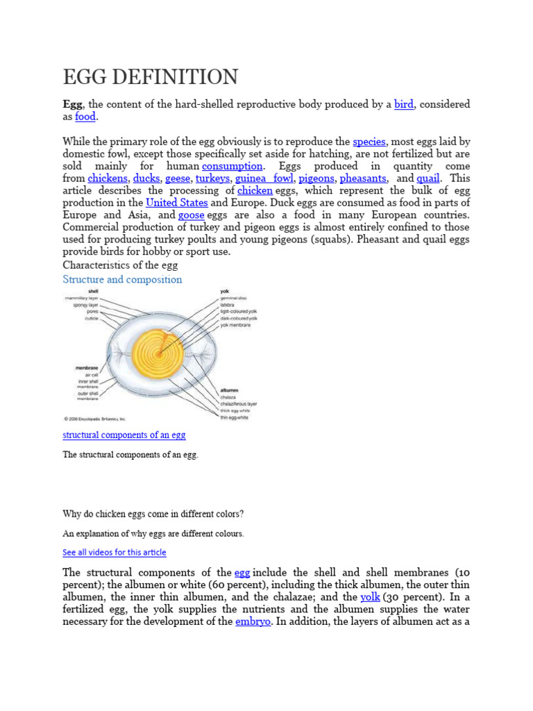 EGG | PDF | Yolk | Egg
