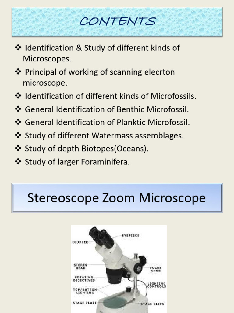DKN Microfossils - Type - Benthic - Planktic | PDF | Limestone