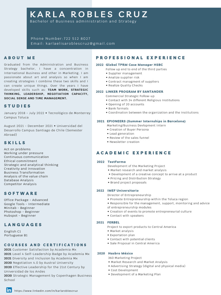 CV Karla Elisa Robles Cruz | PDF | Entrepreneurship | Marketing