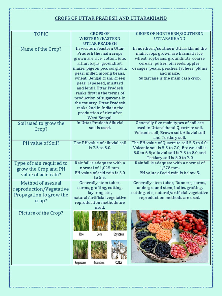Crops of Uttar Pradesh and Uttarakhand | PDF | Crops | Legume