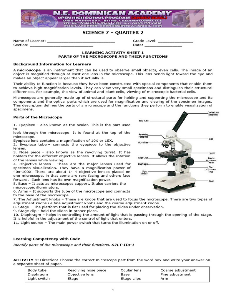 Microscope Parts and Functions Guide | PDF | Electromagnetic Radiation ...