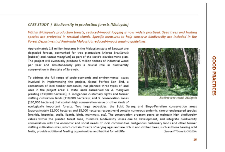 Cbd-Good-Practice-Guide-Forestry-Booklet-Web-En 21 | PDF | Conservation ...